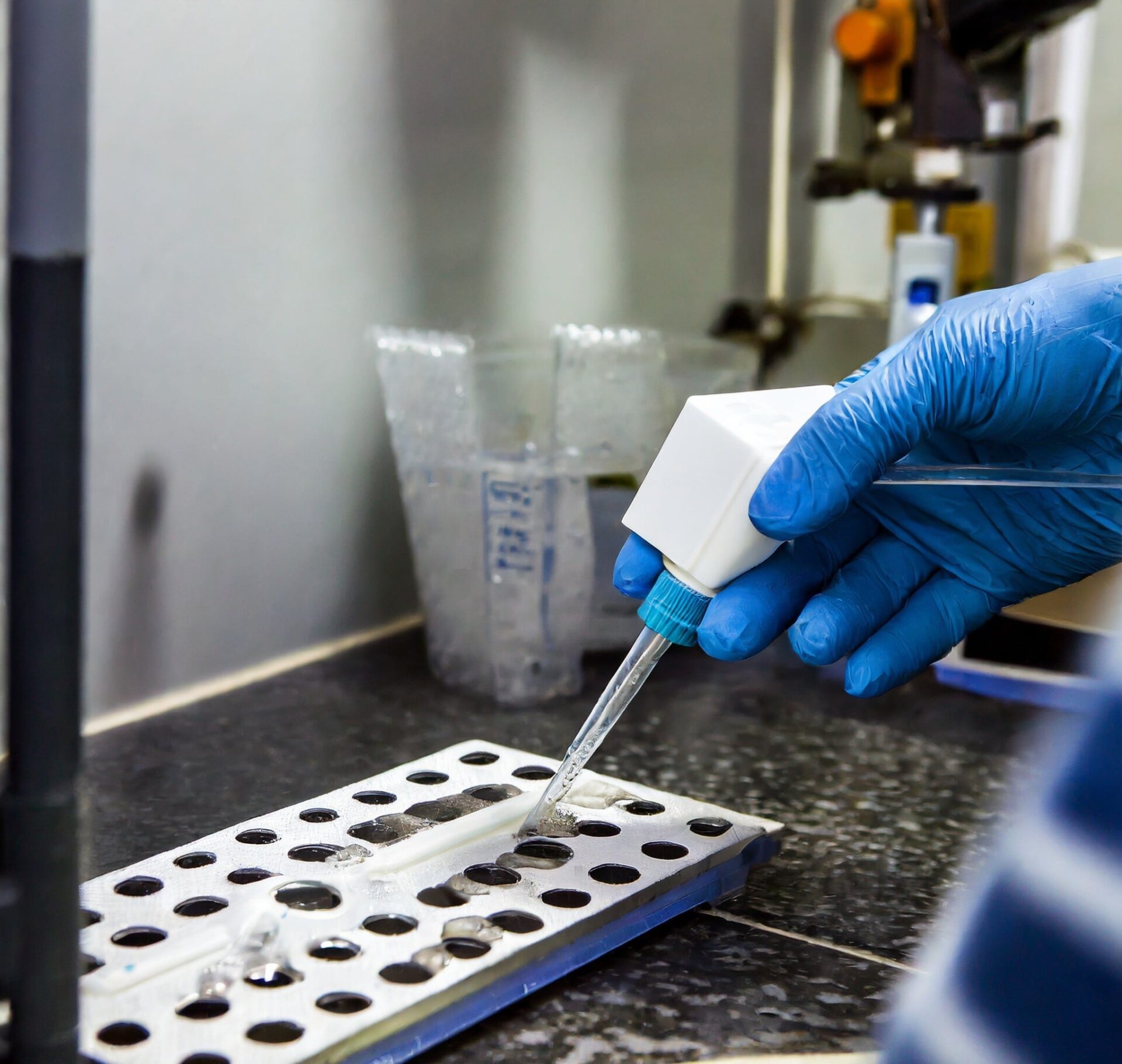 Discover Your Home's Mould Risk with a Free Assessment